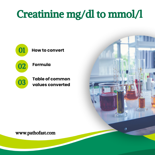 Creatinine Mg dl To Mmol l Conversion Table Formula And More Creatinine Mg dl To Mmol l Conversion Table Formula And More